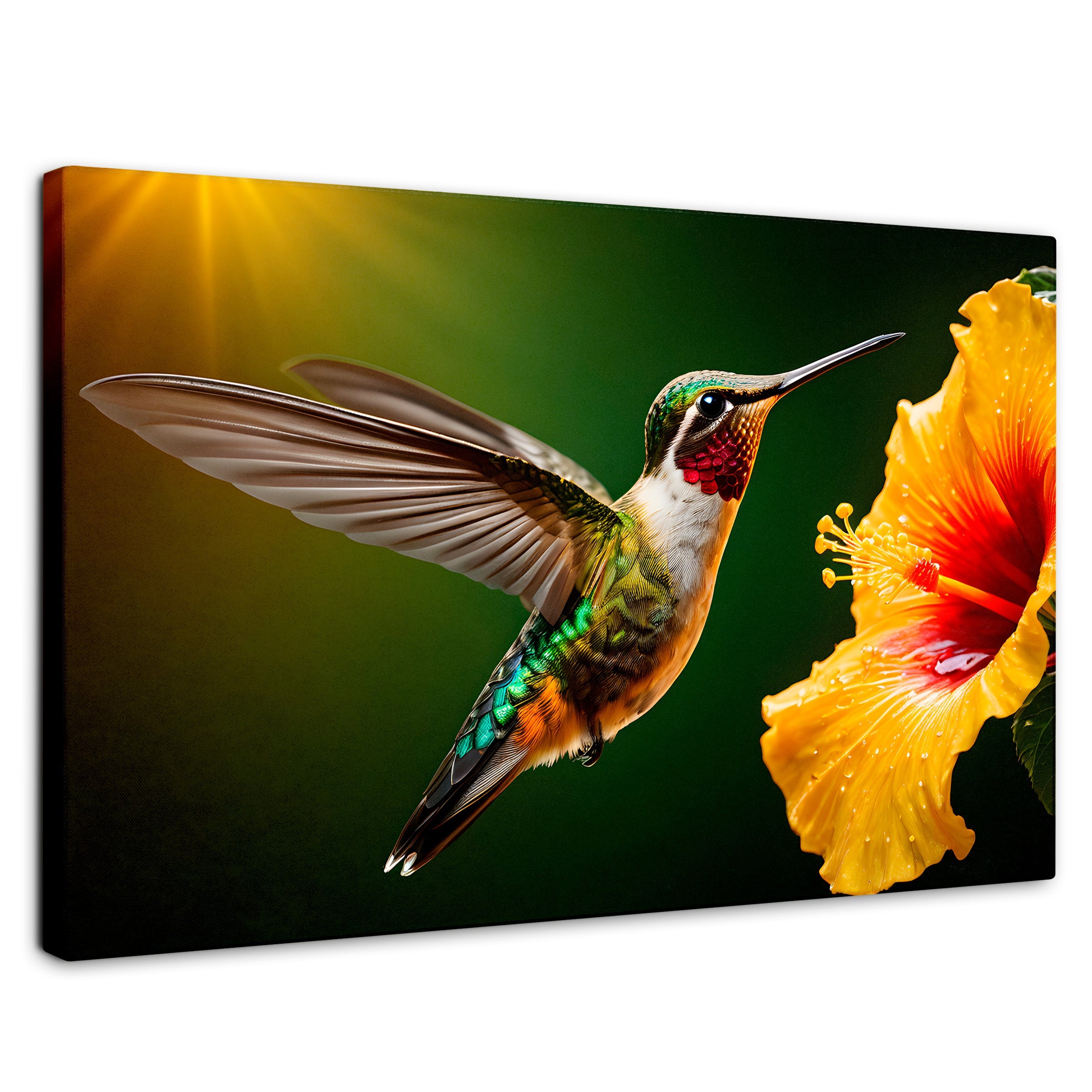 Cuadros de Colibrí | Colección Canvas Revolution México