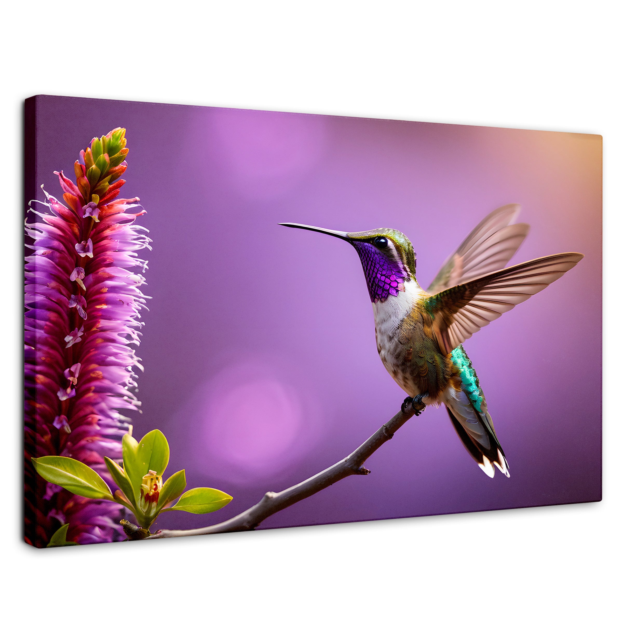 Cuadros de Colibrí | Colección Canvas Revolution México