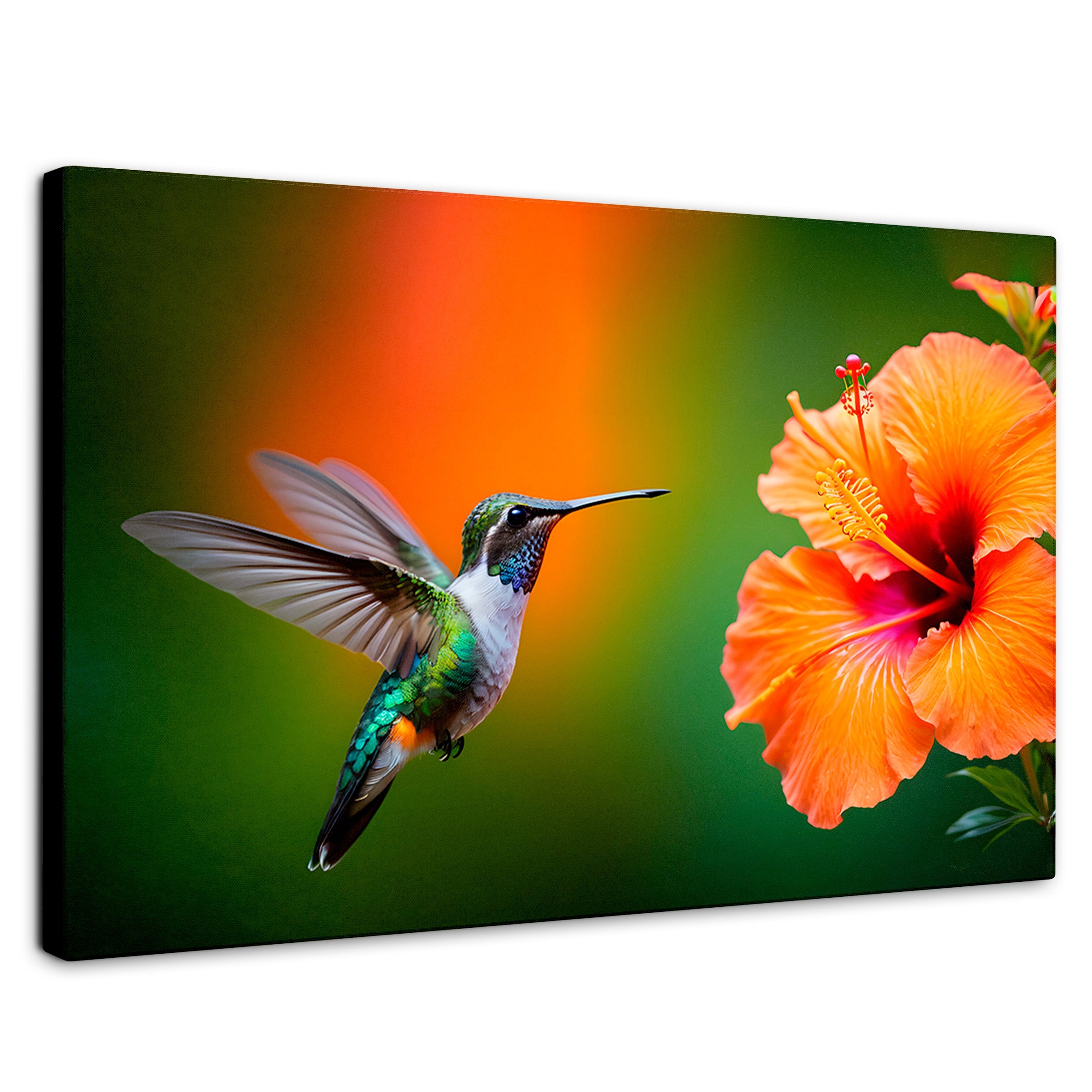 Colibrí Simpleza | Cuadros Decorativos Canvas Revolution